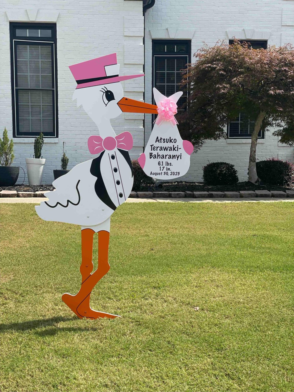 Birth Announcement Stork Sign in Alpharetta, GA - Peach State Storks of ...
