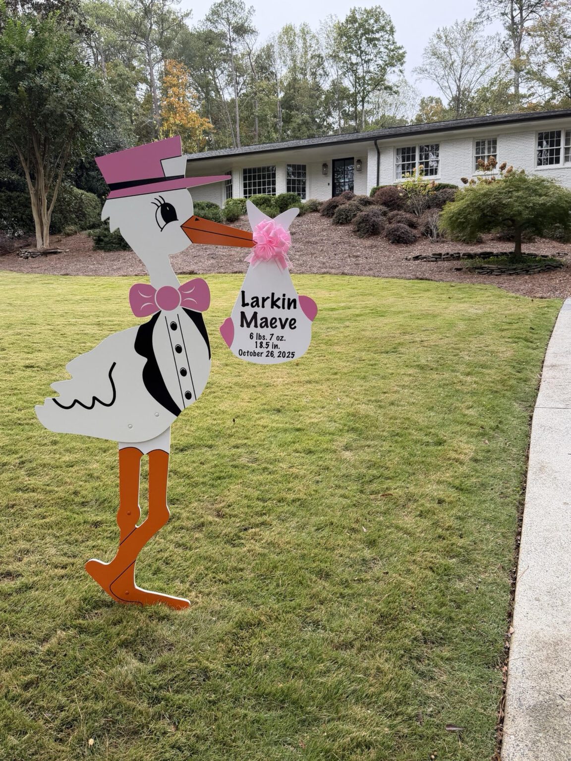 Birth Announcement Stork Sign in Chastain Park, Atlanta - Peach State ...