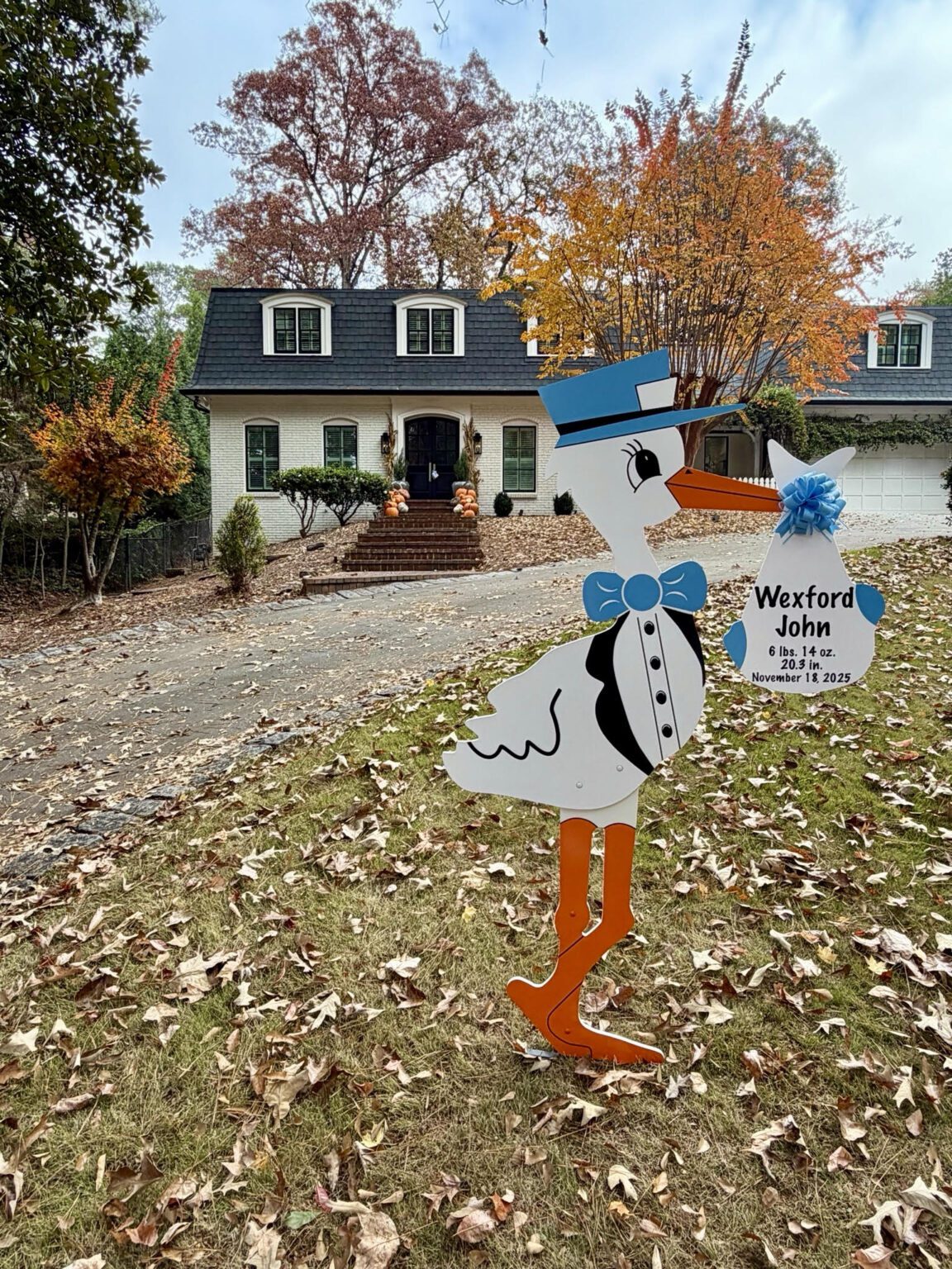 Birth Announcement Stork Sign in Sandy Springs, GA - Peach State Storks ...